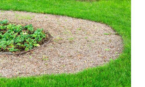 Paillage chanvre : 6 bonnes raisons de l'utiliser - Jardindeco