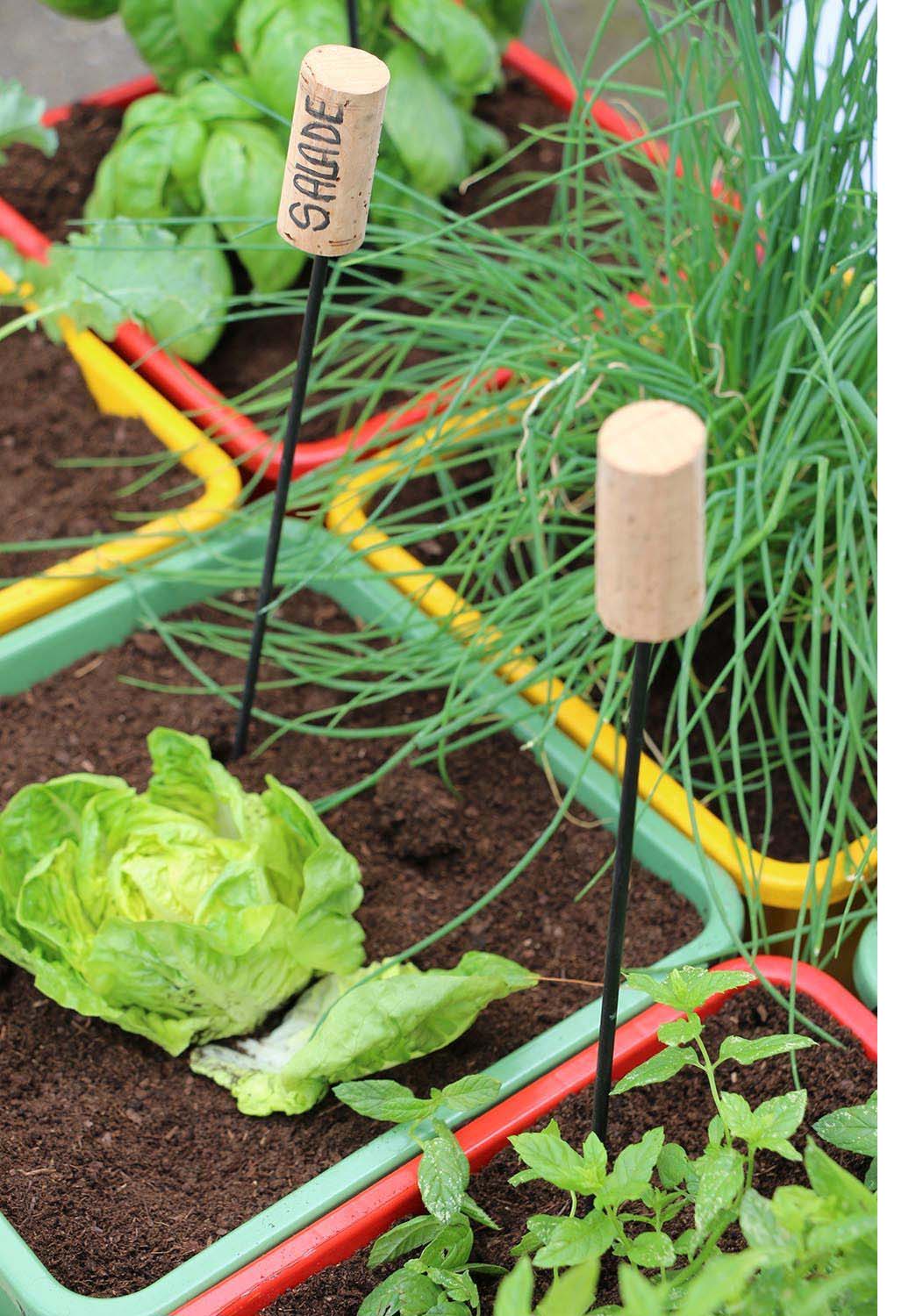 Idée potager : créer un potager deco et original - Jardindeco