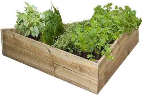 Potager sur toit : comment le créer quand on vit en ville ? - Jardindeco