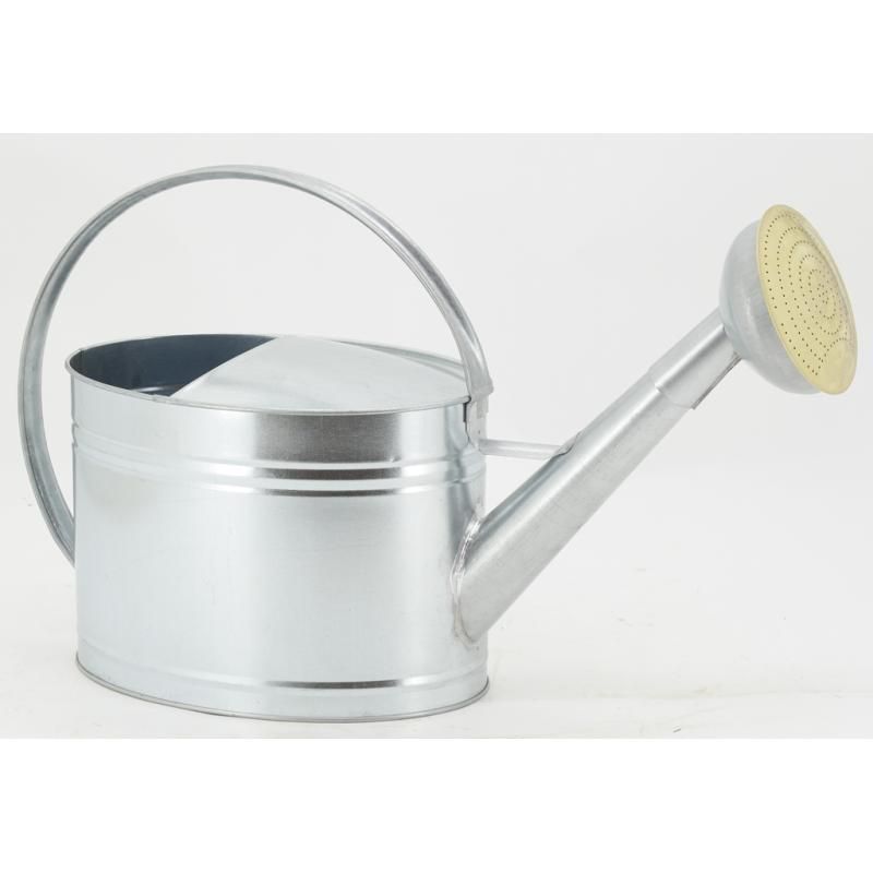 Arrosoir en métal galvanisé 10 l