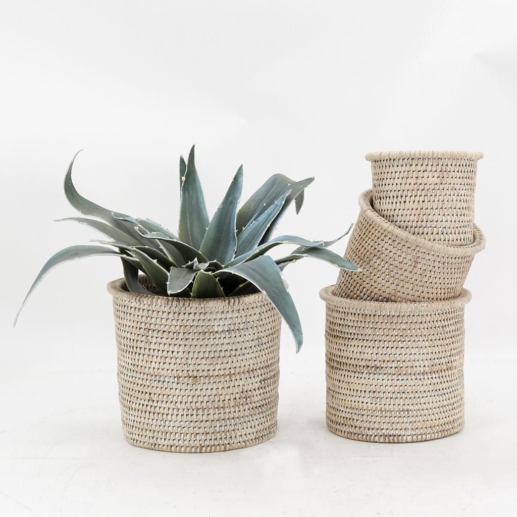 Cache-pot en rotin patiné blanc (lot de 4)