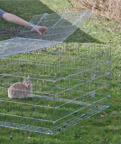 Enclos extérieur avec toit