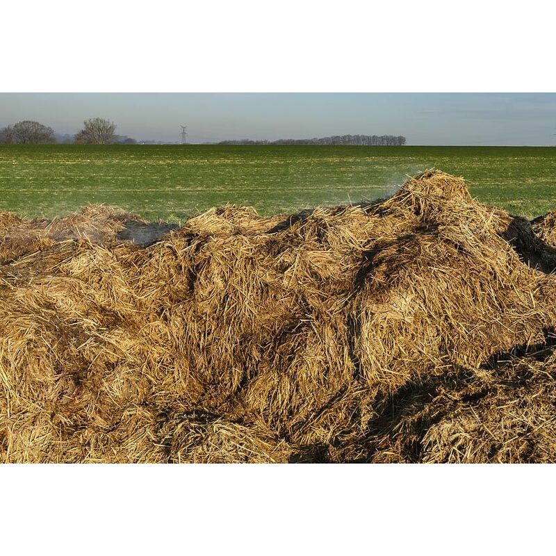 Fumier de cheval en sac - Jardindeco