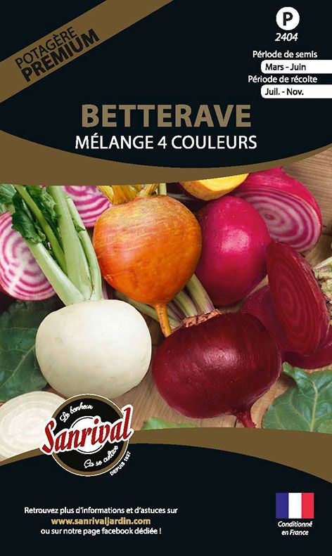 Graines potagères premium betterave (mélange 4 couleurs)