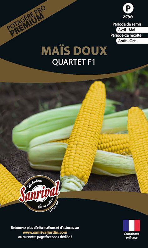 Graines potagères premium maïs (doux)