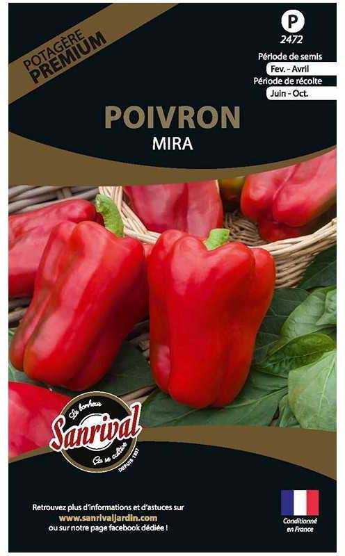 Graines potagères premium poivron (mira rouge allongé)