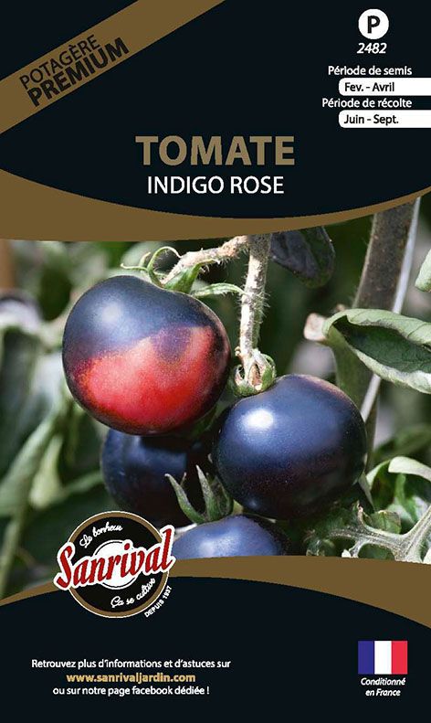 Graines potagères premium tomate (indigo rose)