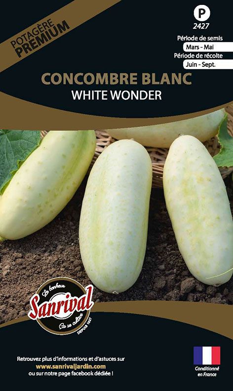 Graines potagères premium concombre (blanc white wonder)