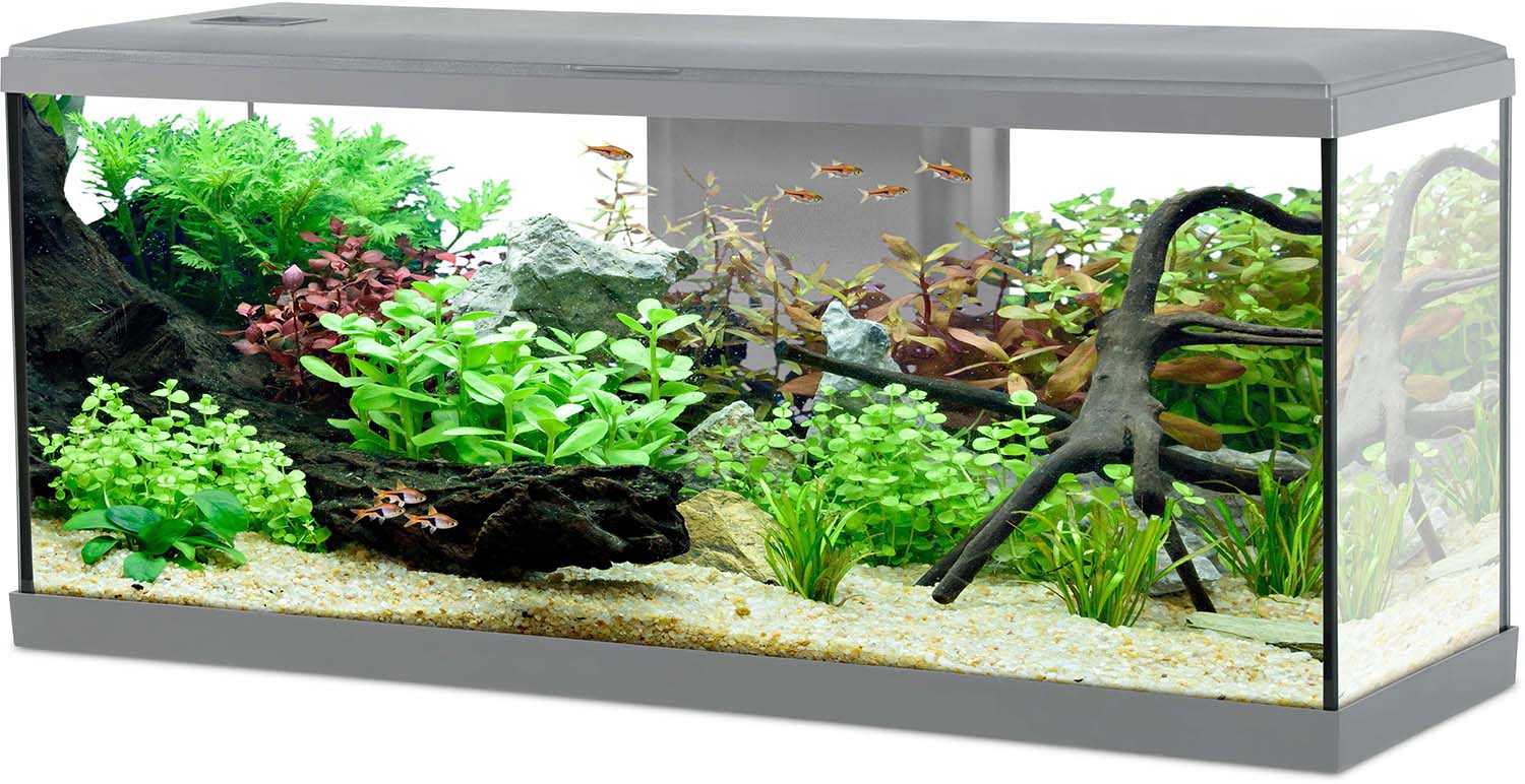Kit aquarium tana 120l (gris)