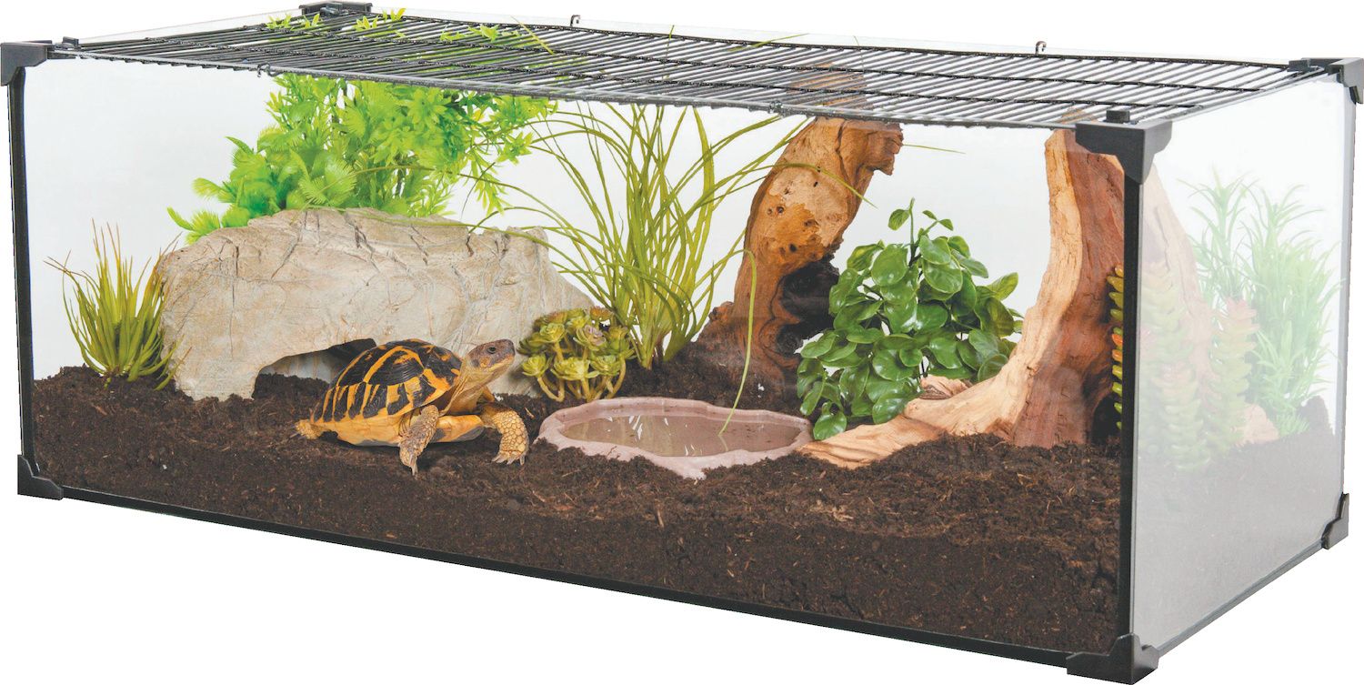 Kit terrarium tortue terrestre karapas pro
