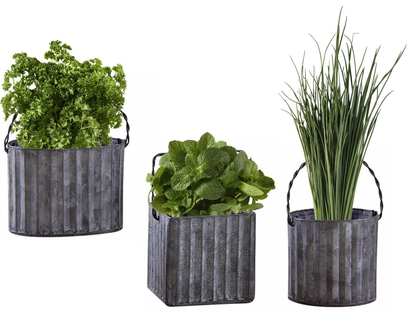 Mini cache-pot en métal galvanisé ondulé (lot de 6)