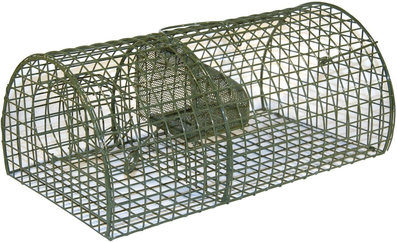 Nasse à rats alive multi rat