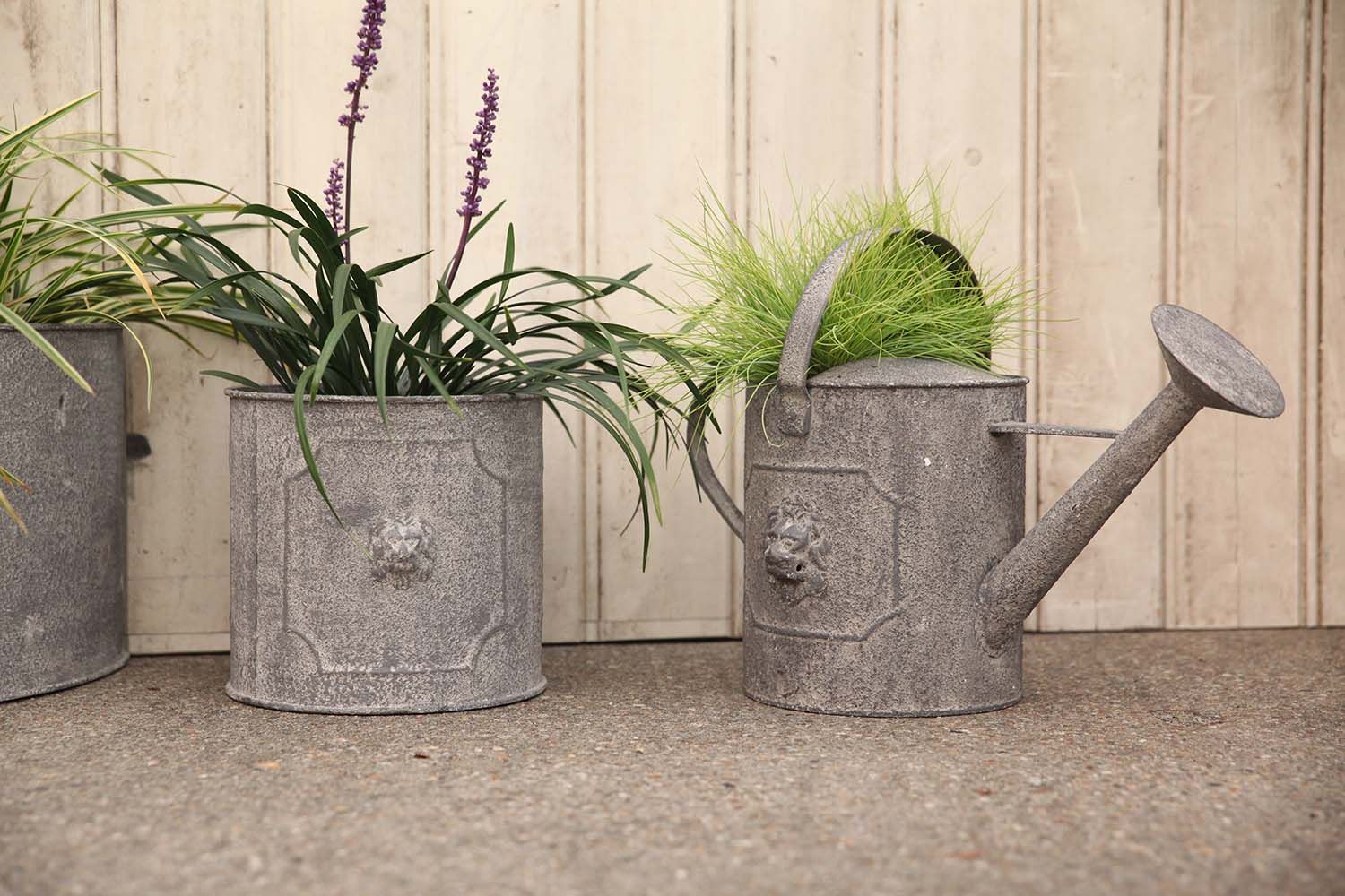 Pot de fleurs ronds lion (lot de 2)