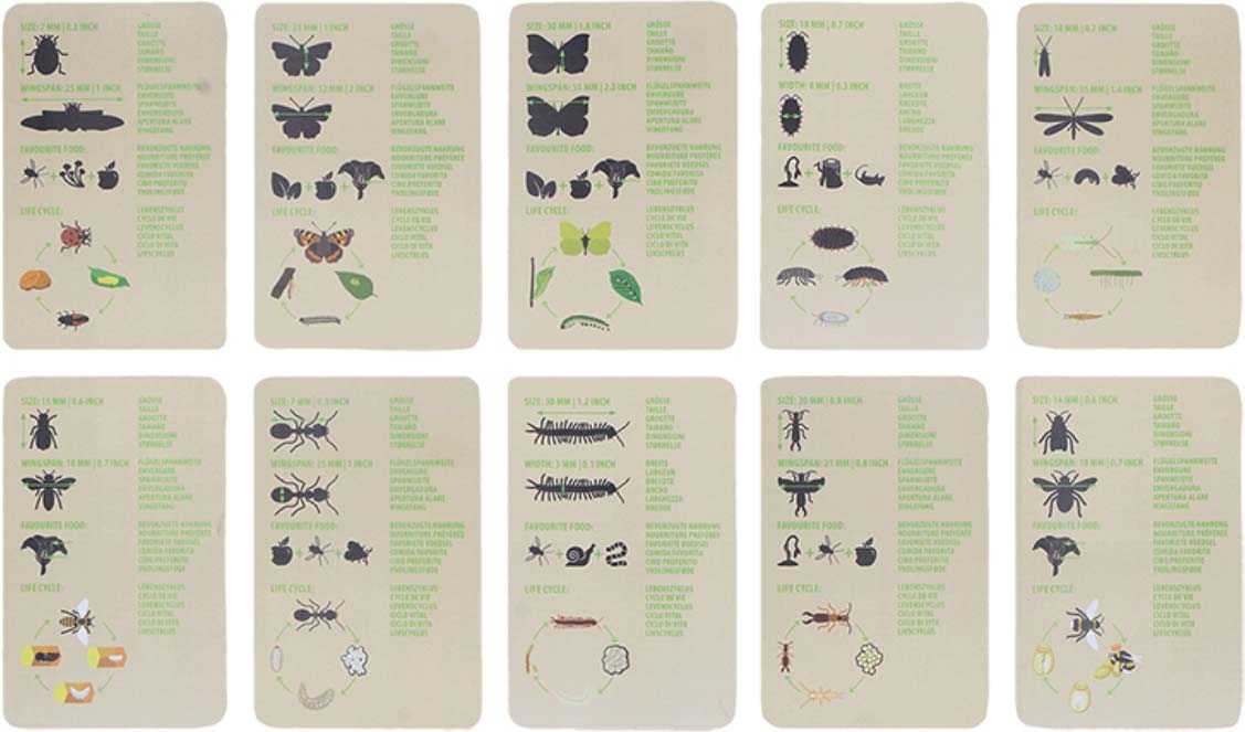 Set explorateur avec sac pour enfant (insectes)