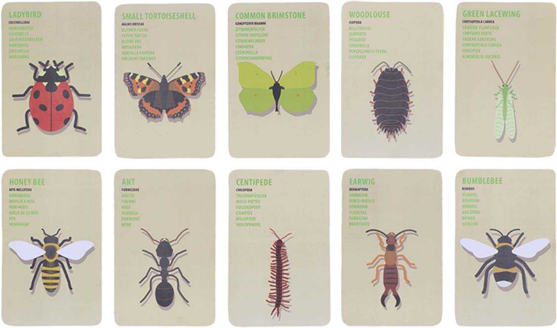 Set explorateur avec sac pour enfant (insectes)