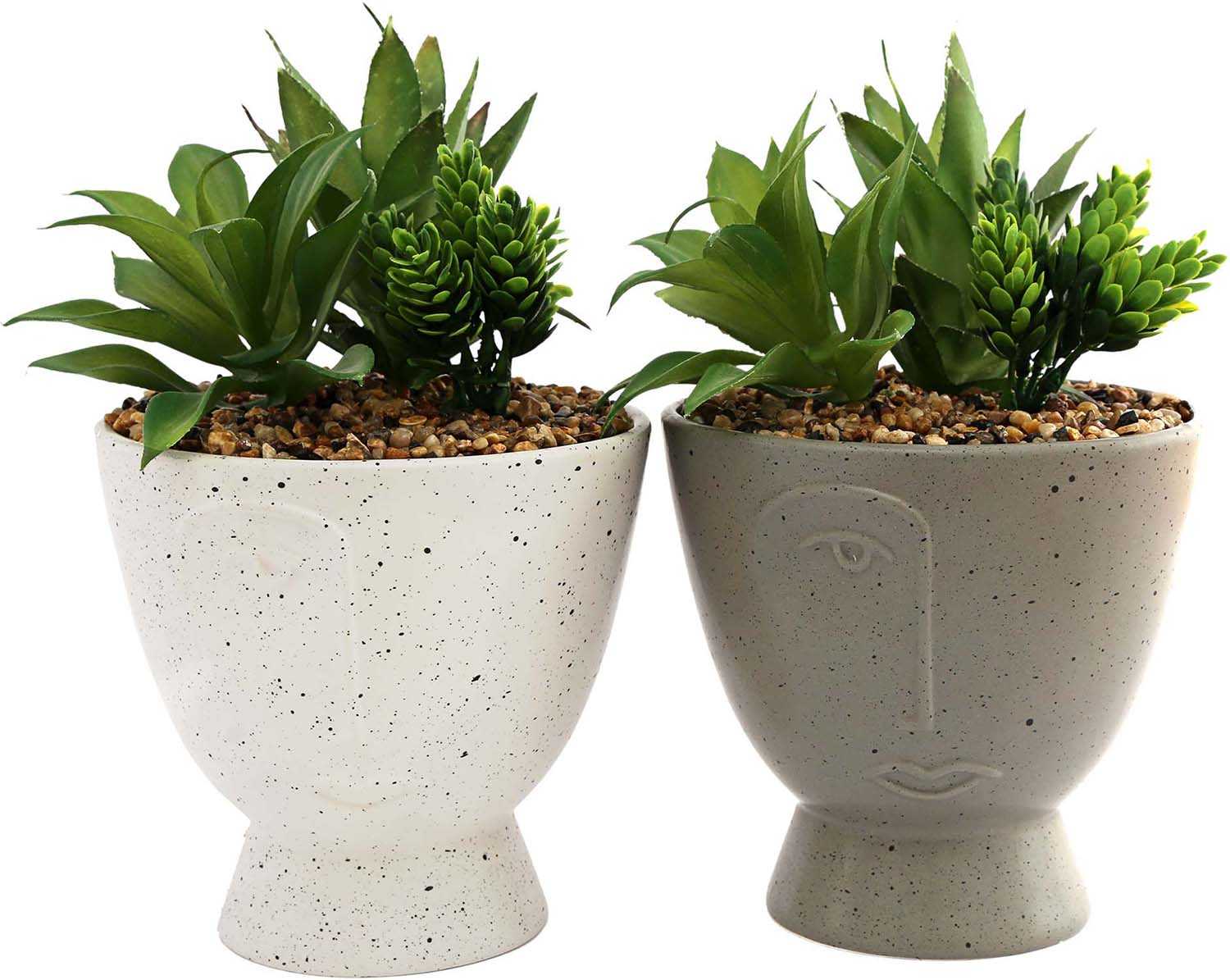 Succulente artificielle en pot visage (lot de 2)