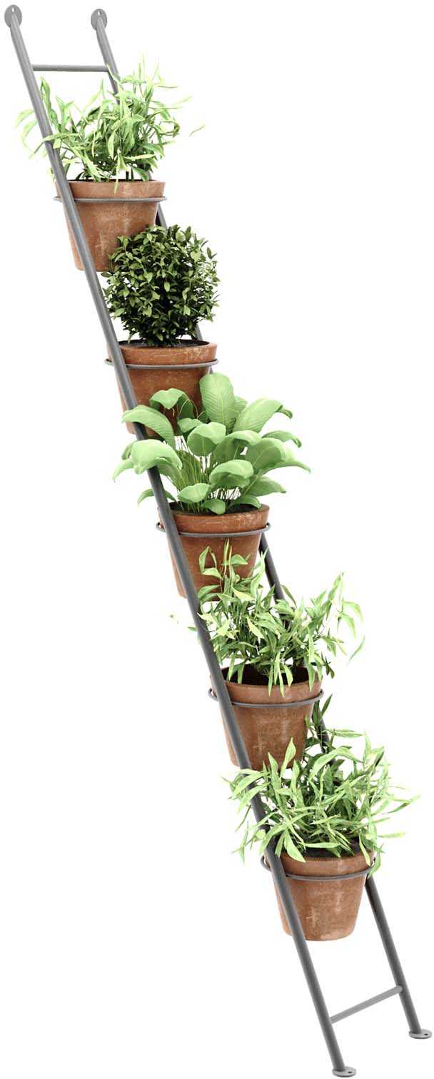 Support à plantes en acier ladder (brut)