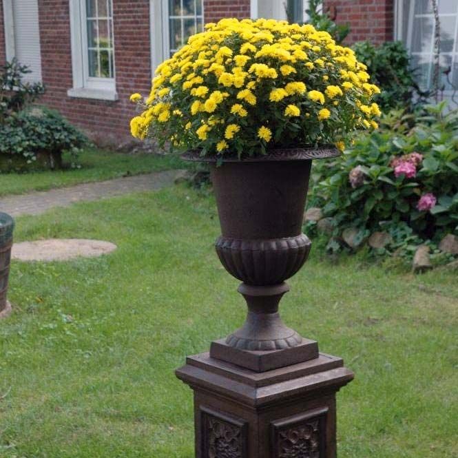 Vase médicis en fonte (hauteur 66 cm)