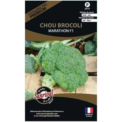 Graines potagères premium chou (chou brocoli marathon)
