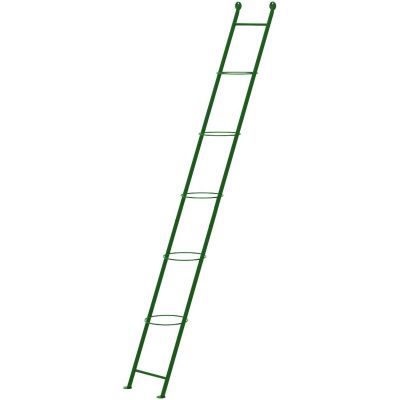 Support à plantes en acier ladder (vert)