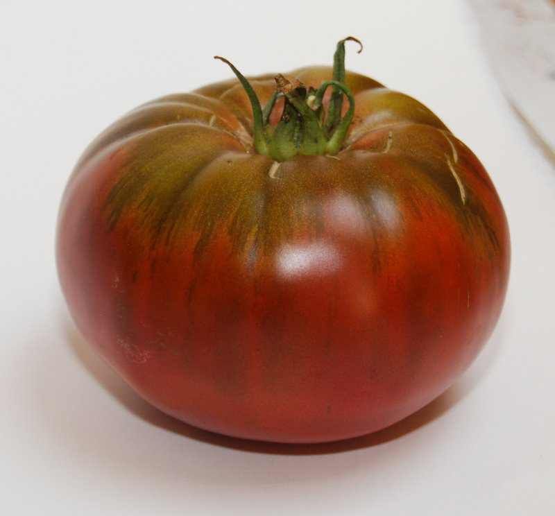 These perfect cherry tomatoes : r/oddlysatisfying